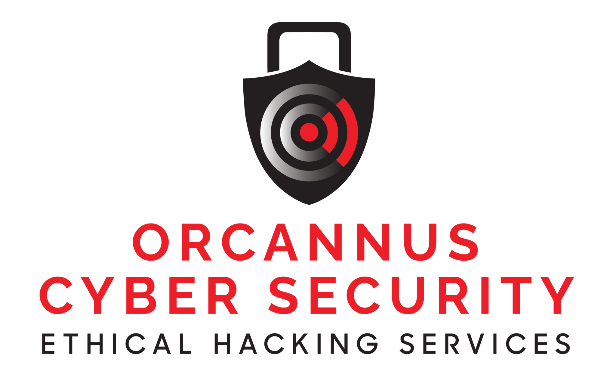 Best Cyber Security & IT Services in Canton, Ga - Orcannus Cyber Security