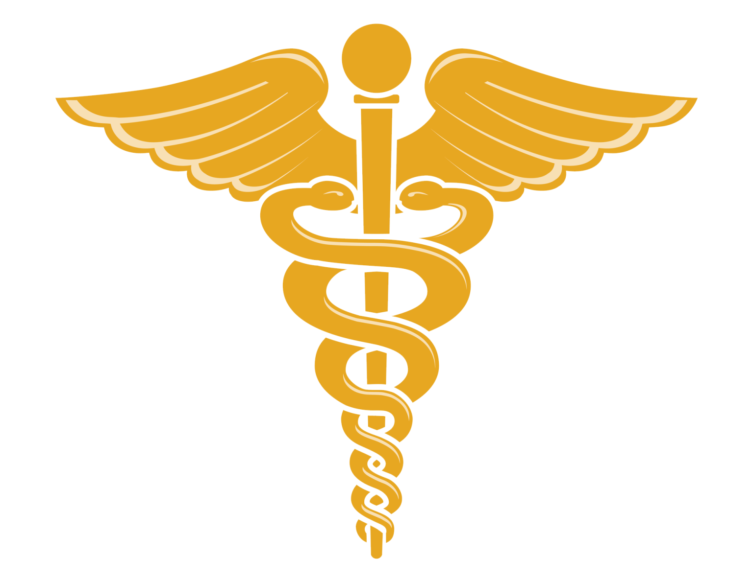 Healthcare - Orcannus Cyber Security